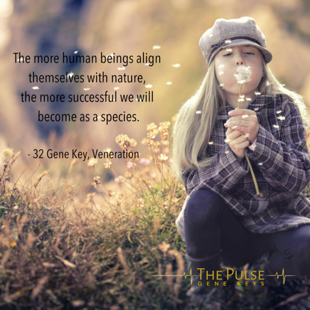 Gene Key 32 b - Gene Keys