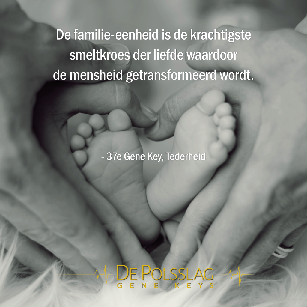 Gene Key 37, NED - Gene Keys